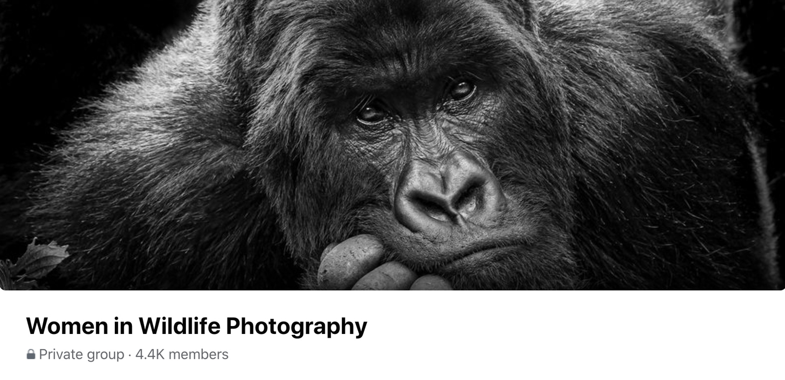 15 Nature Photography Facebook Groups You Should Join | Nature TTL