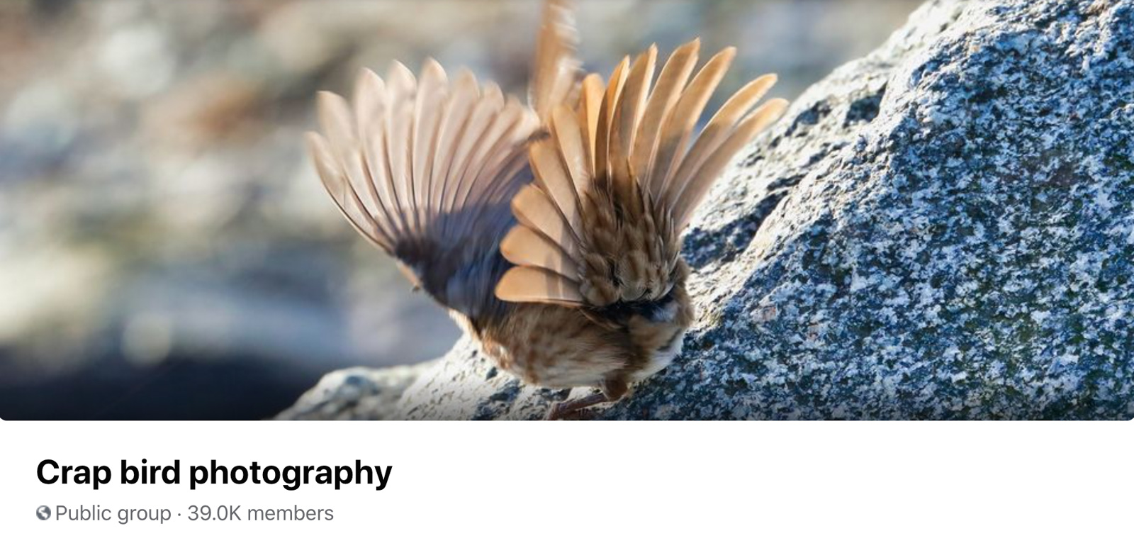 15 Nature Photography Facebook Groups You Should Join | Nature TTL