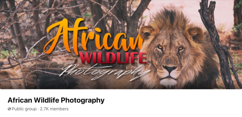 15 Nature Photography Facebook Groups You Should Join | Nature TTL