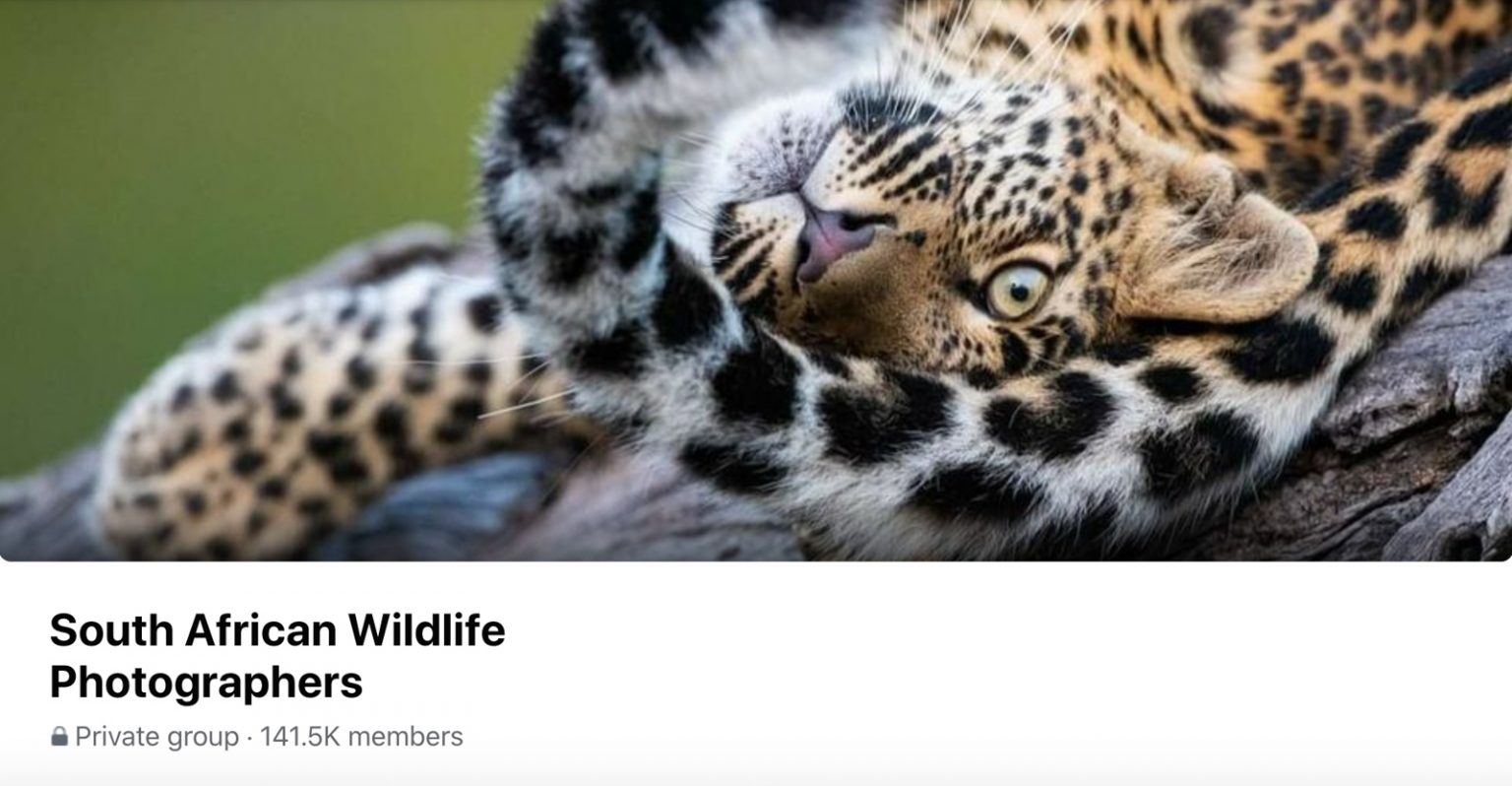 15 Nature Photography Facebook Groups You Should Join | Nature TTL