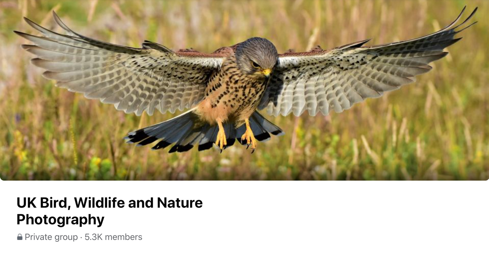 15 Nature Photography Facebook Groups You Should Join - Nature TTL