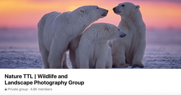 15 Nature Photography Facebook Groups You Should Join - Nature TTL