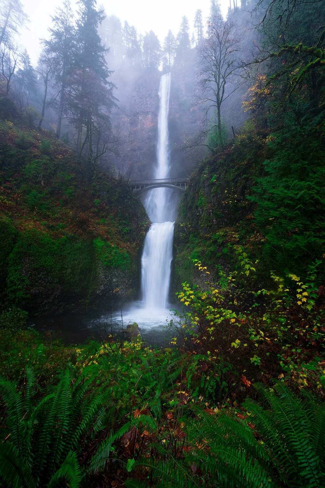 How to Frame Your Landscape Photos - Nature TTL