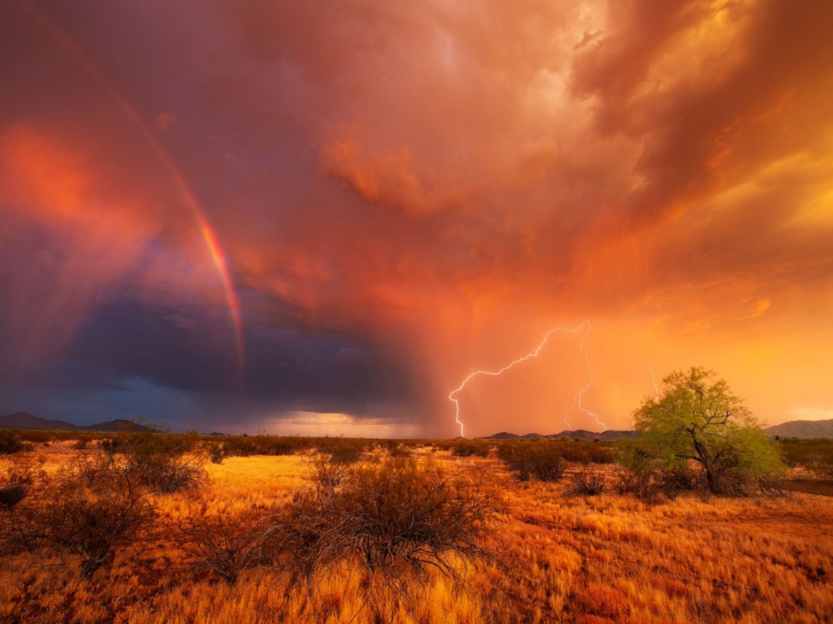 Natural Frame Photography Examples