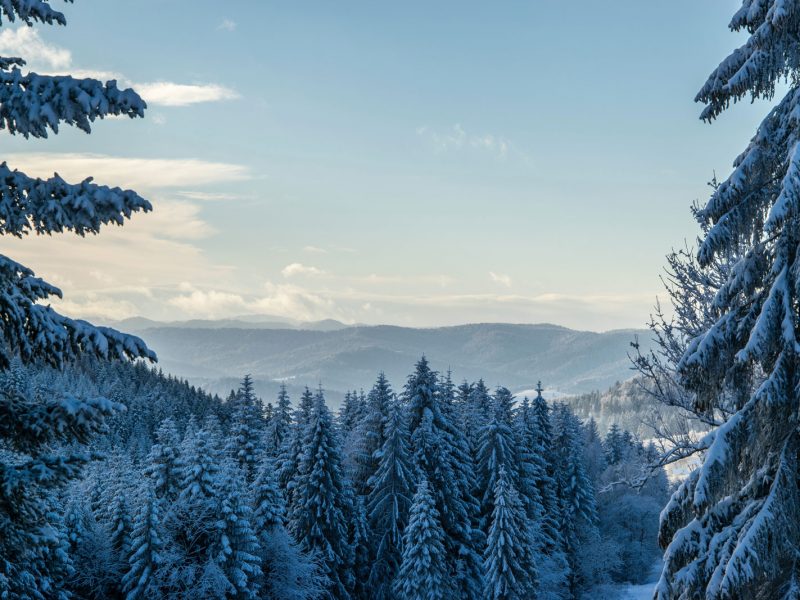 Weekly Photography Assignment: Winter | Nature TTL