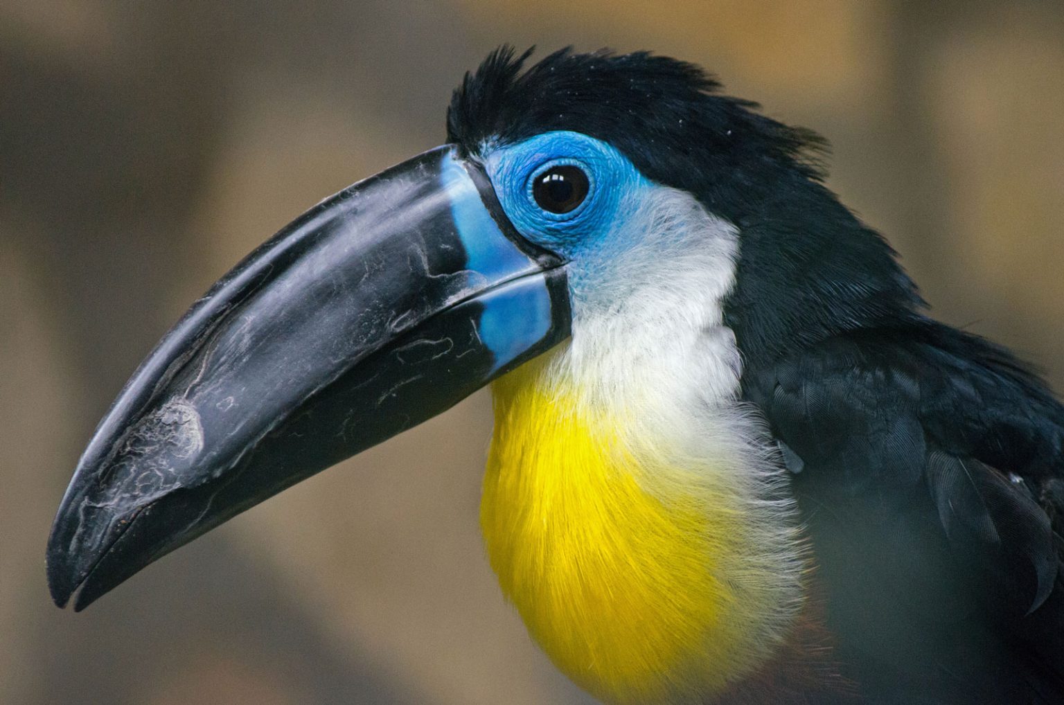 Weekly Photography Assignment: Fill the Frame - Nature TTL