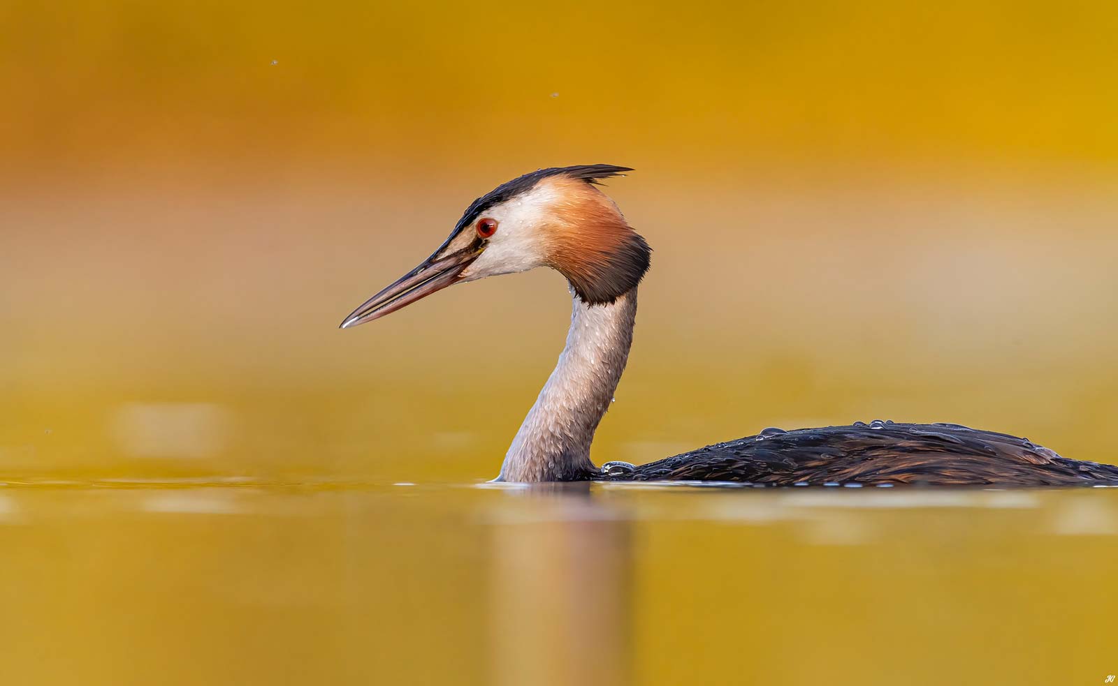 Weekly Photography Assignment: Nature Photography - Nature TTL