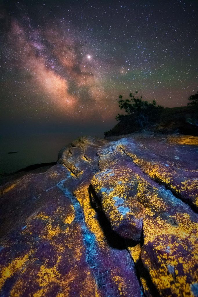 How to Use Ultraviolet Light for Creative Nature Photography | Nature TTL