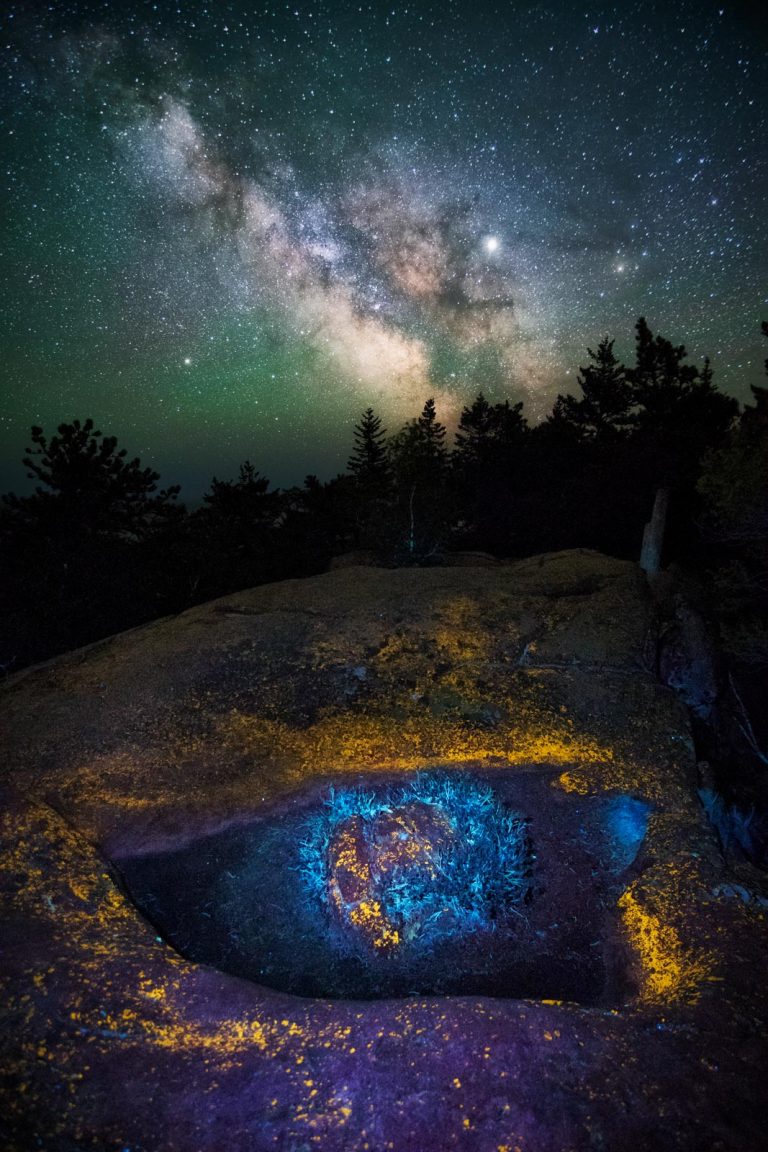 How to Use Ultraviolet Light for Creative Nature Photography | Nature TTL