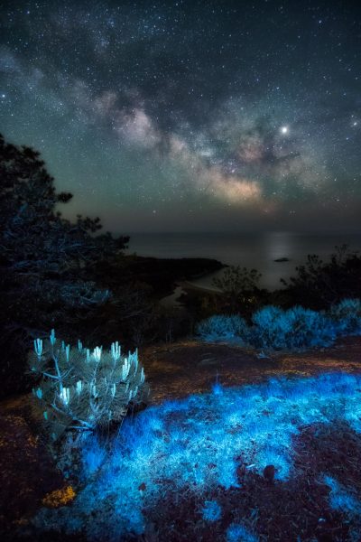 How to Use Ultraviolet Light for Creative Nature Photography | Nature TTL