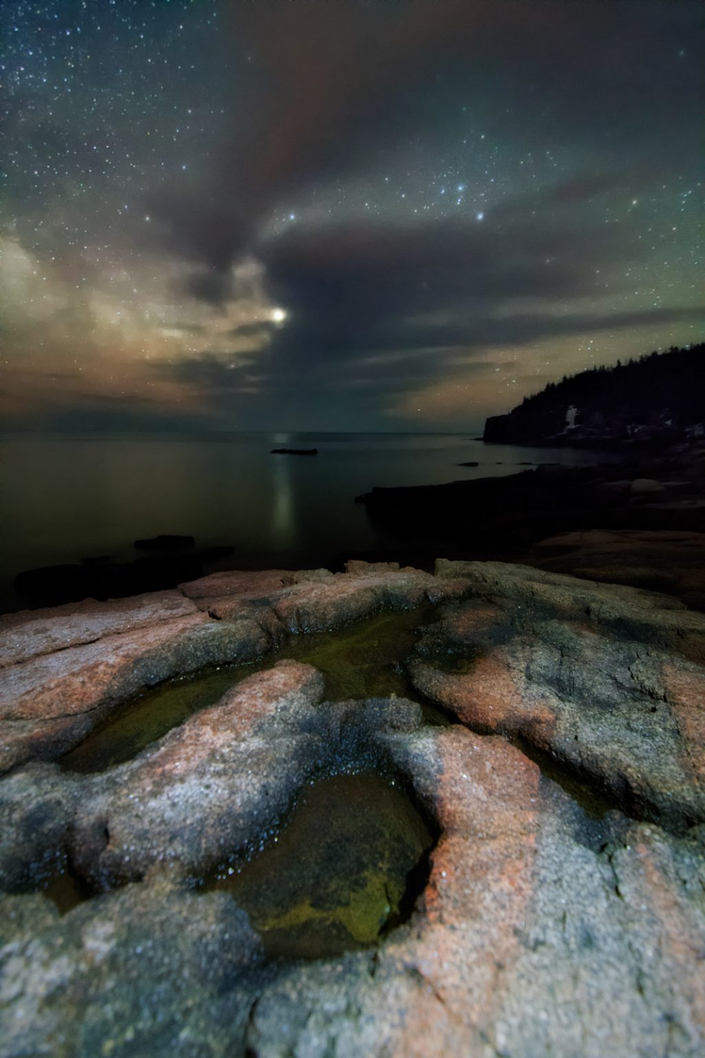 How to Use Ultraviolet Light for Creative Nature Photography | Nature TTL