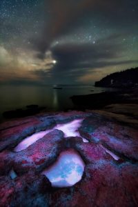 How to Use Ultraviolet Light for Creative Nature Photography | Nature TTL