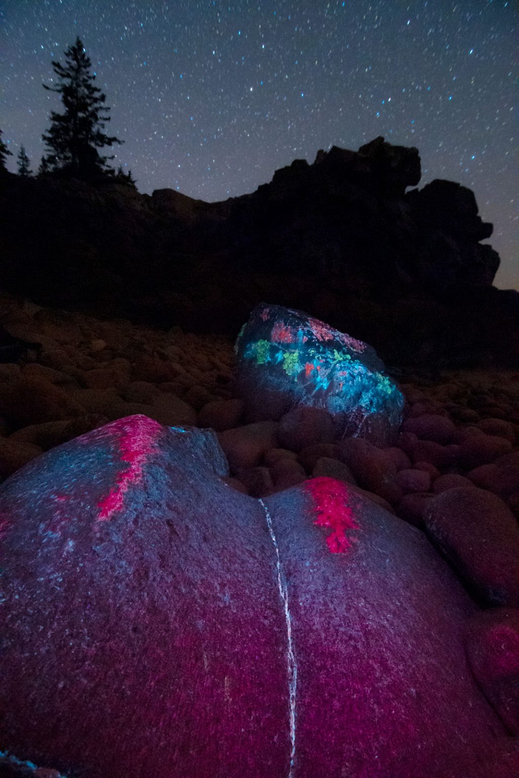 How to Use Ultraviolet Light for Creative Nature Photography - Nature TTL