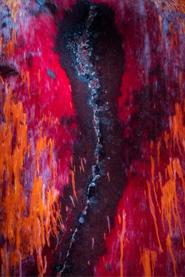 How to Use Ultraviolet Light for Creative Nature Photography - Nature TTL