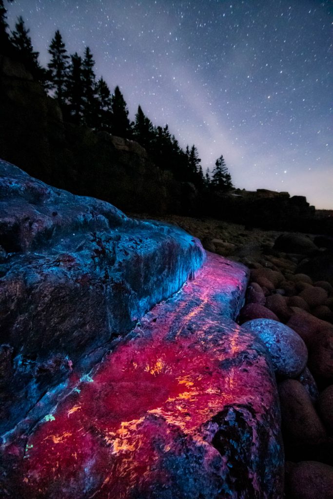 How to Use Ultraviolet Light for Creative Nature Photography - Nature TTL