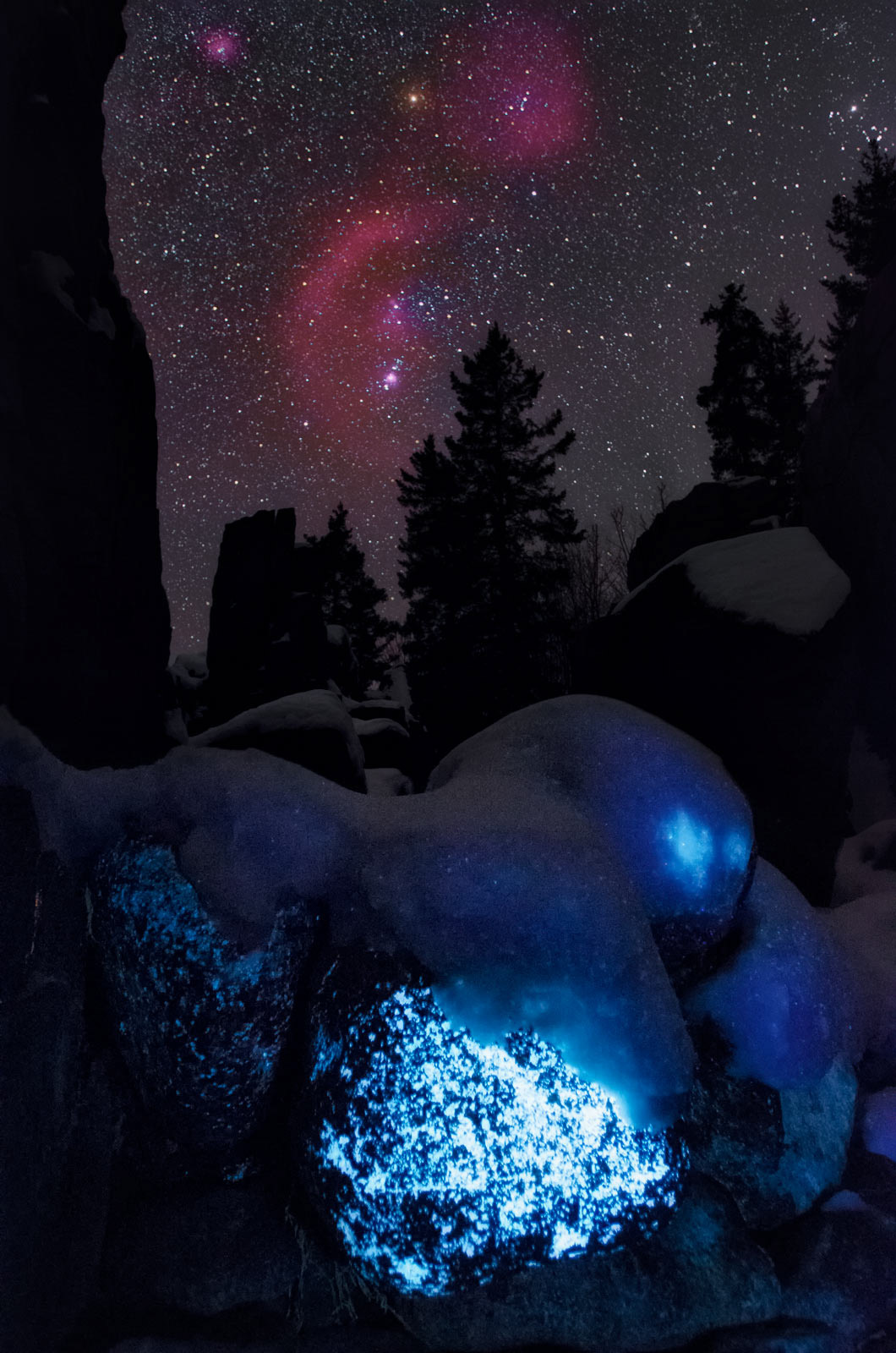 How to Use Ultraviolet Light for Creative Nature Photography | Nature TTL