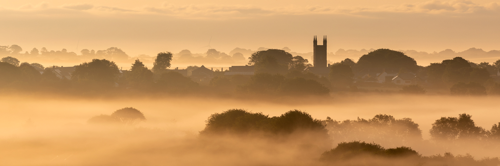 How to Use Backlighting in Landscape Photography - Nature TTL