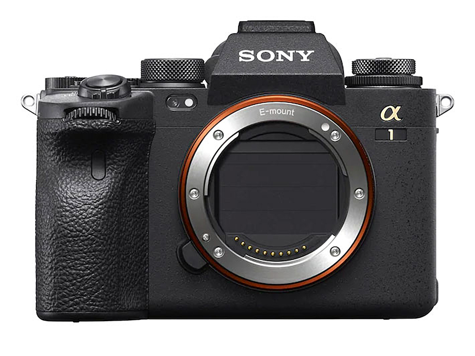 New Sony A1 Has 50 Megapixel and 30fps Burst - Nature TTL