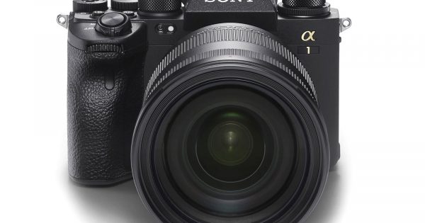 New Sony A1 Has 50 Megapixel and 30fps Burst - Nature TTL