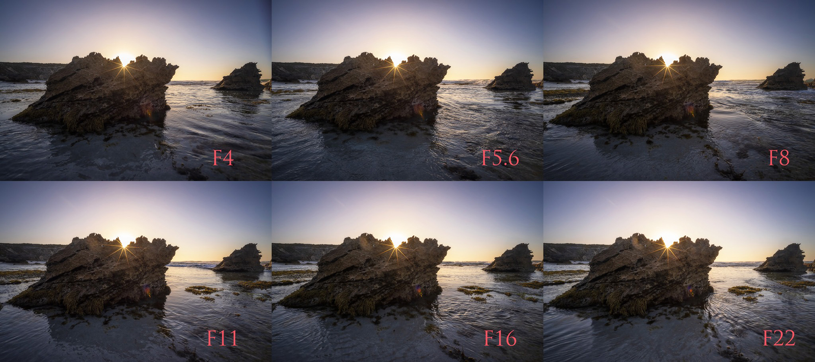 NiSi Unveils 15mm f/4 Sunstar Lens for Mirrorless - Nature TTL