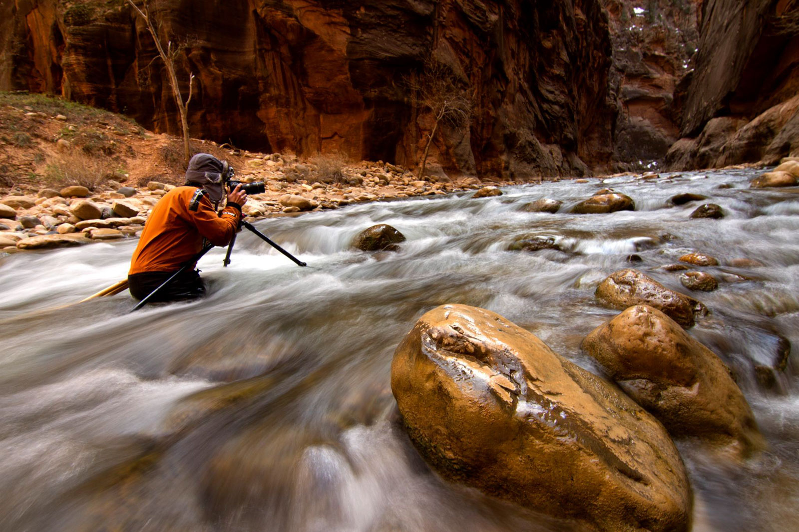 Landscape Photography Guide to Zion National Park - Nature TTL
