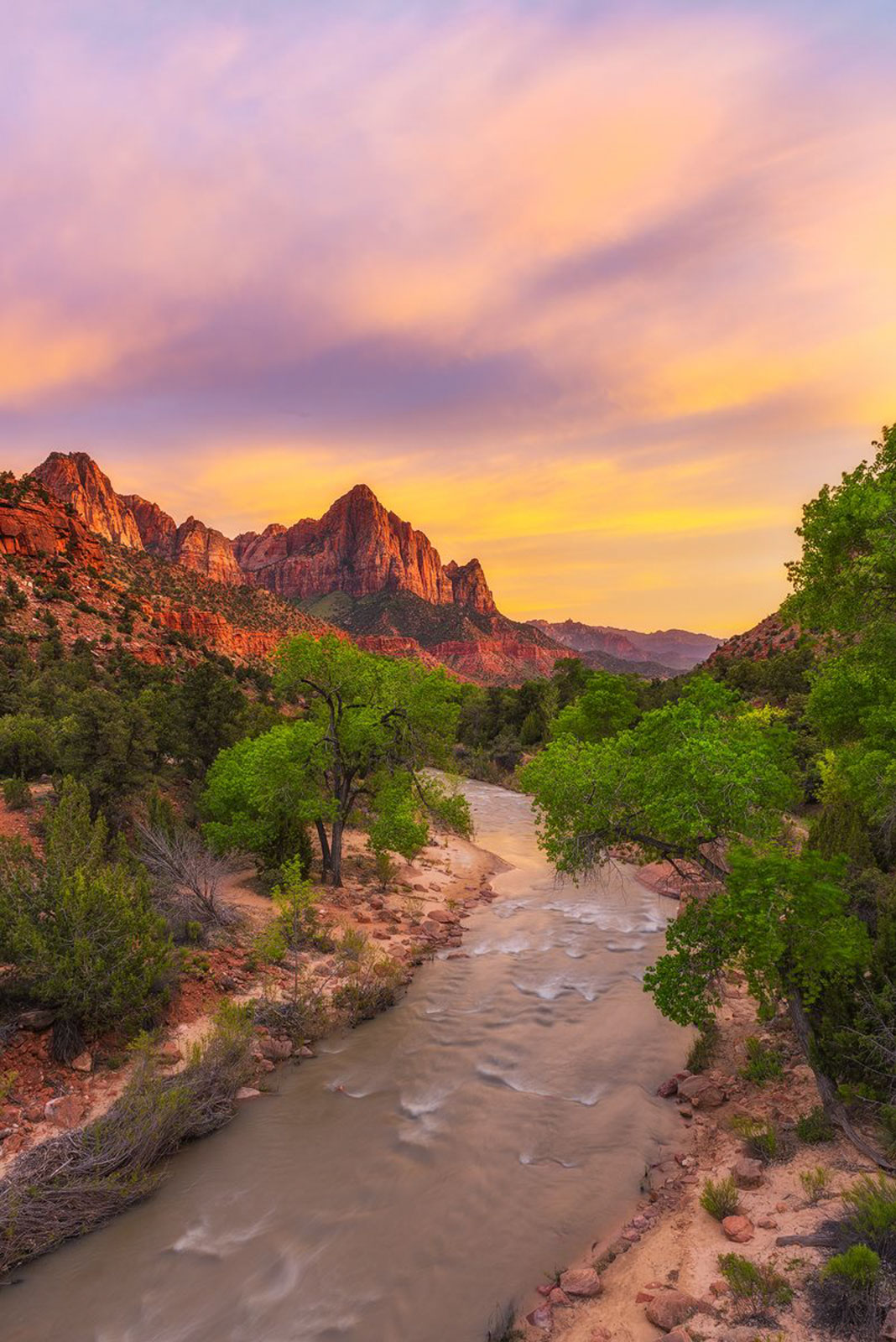 Landscape Photography Guide to Zion National Park - Nature TTL