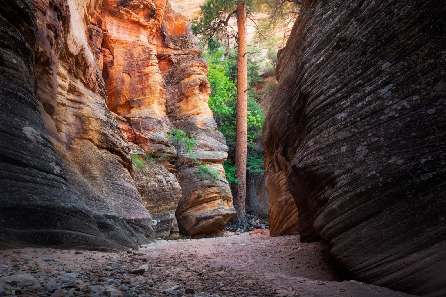 Landscape Photography Guide to Zion National Park - Nature TTL