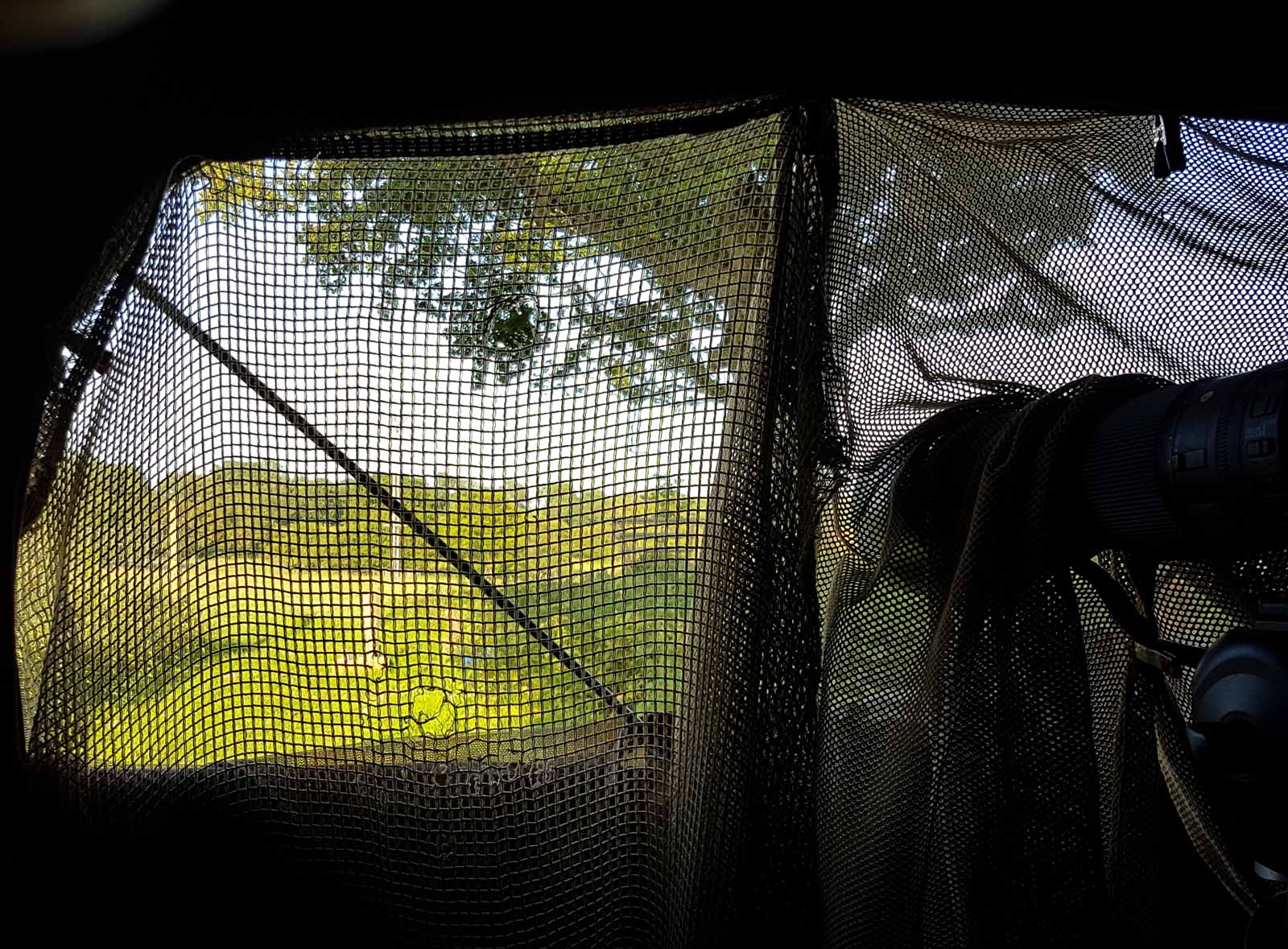 How to Photograph Little Owls | Nature TTL