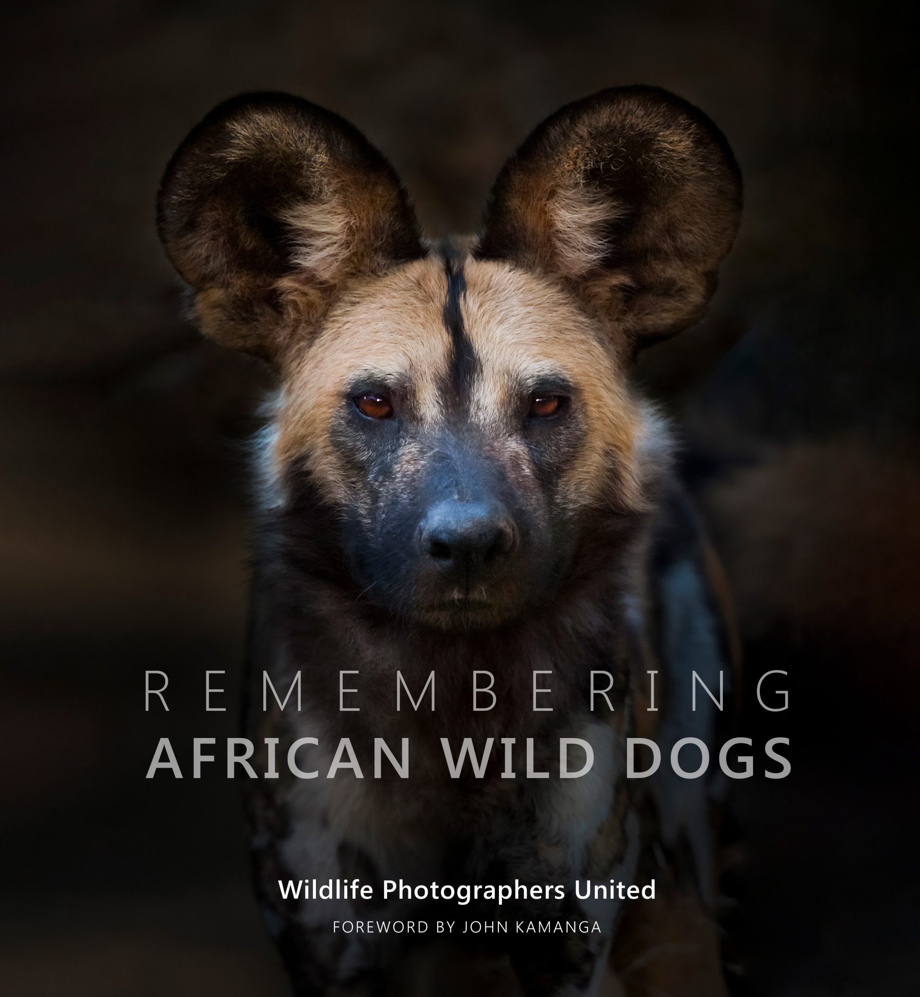 Remembering Wildlife Launches Campaign for African Wild Dogs Book ...