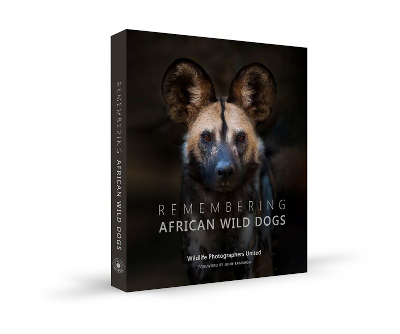 Remembering Wildlife Launches Campaign for African Wild Dogs Book ...