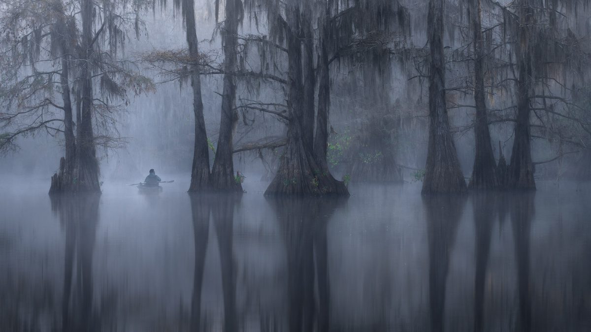 How to Photograph Trees and Forests - Nature TTL