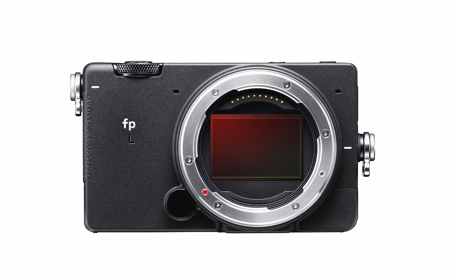 New Sigma fp L is a 61 Megapixel Full-frame Mirrorless Camera - Nature TTL