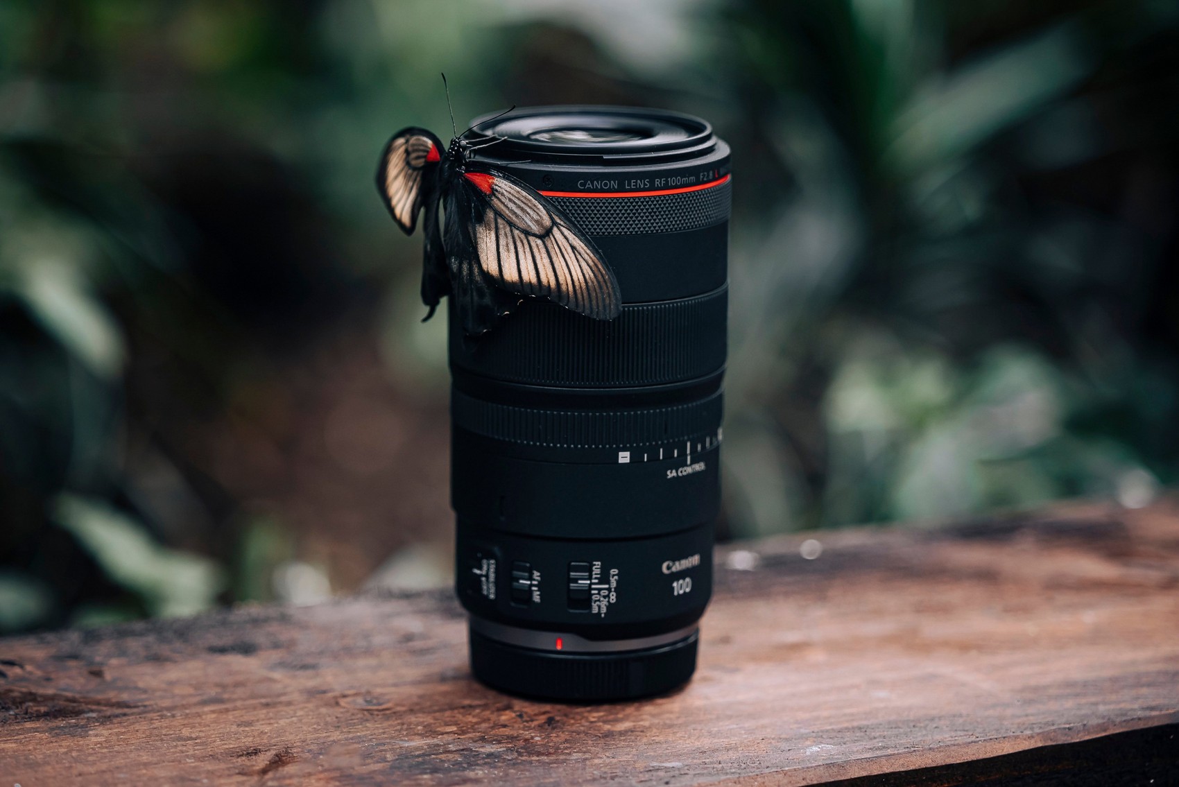 Canon Unveils 3 RF Lenses: 400mm, 600mm & 100mm Macro | Nature TTL