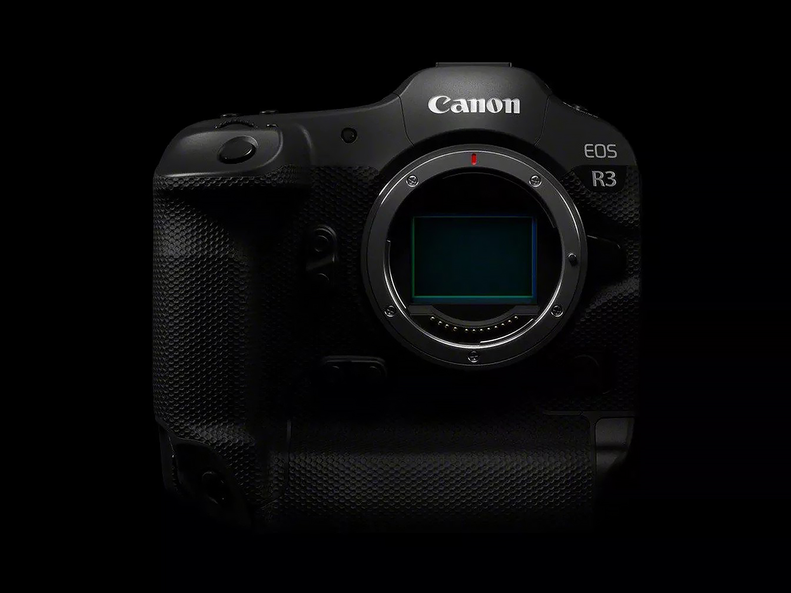 Canon R3 Has Eye-controlled AF and 30fps Shooting - Nature TTL