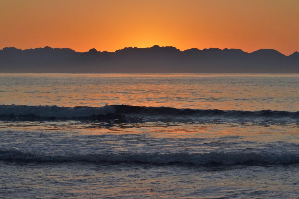 Weekly Photography Assignment: Macro Photography - Nature TTL