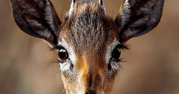 Weekly Photography Assignment: Contrast - Nature TTL