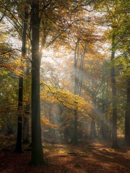 The Best Settings for Landscape Photography - Nature TTL