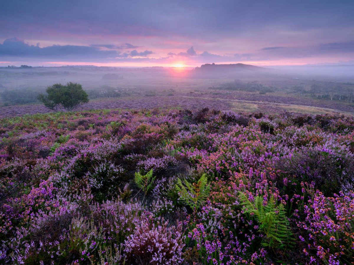 The Best Settings for Landscape Photography - Nature TTL