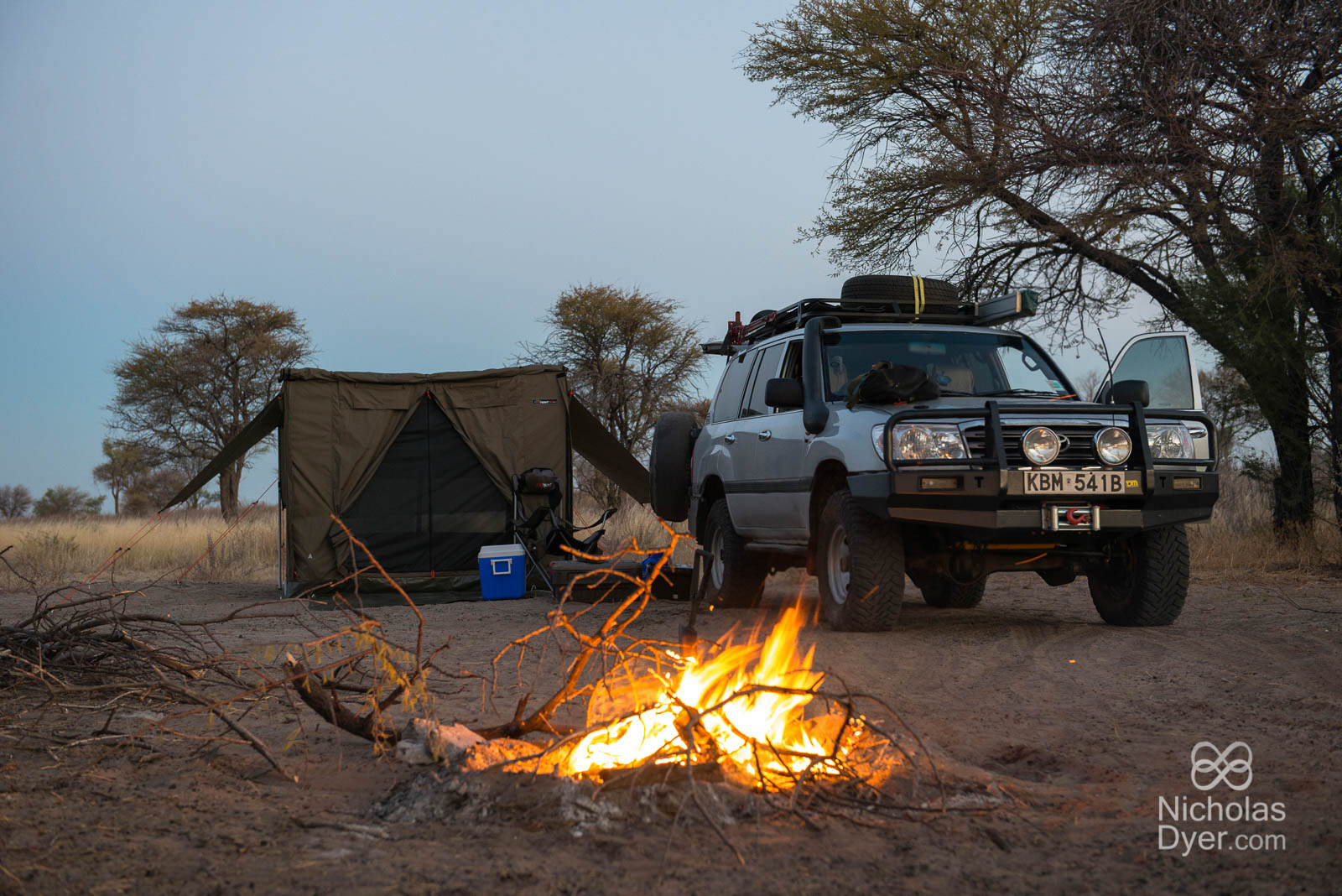 Nicholas Dyer: From Amateur to Professional - Nature TTL