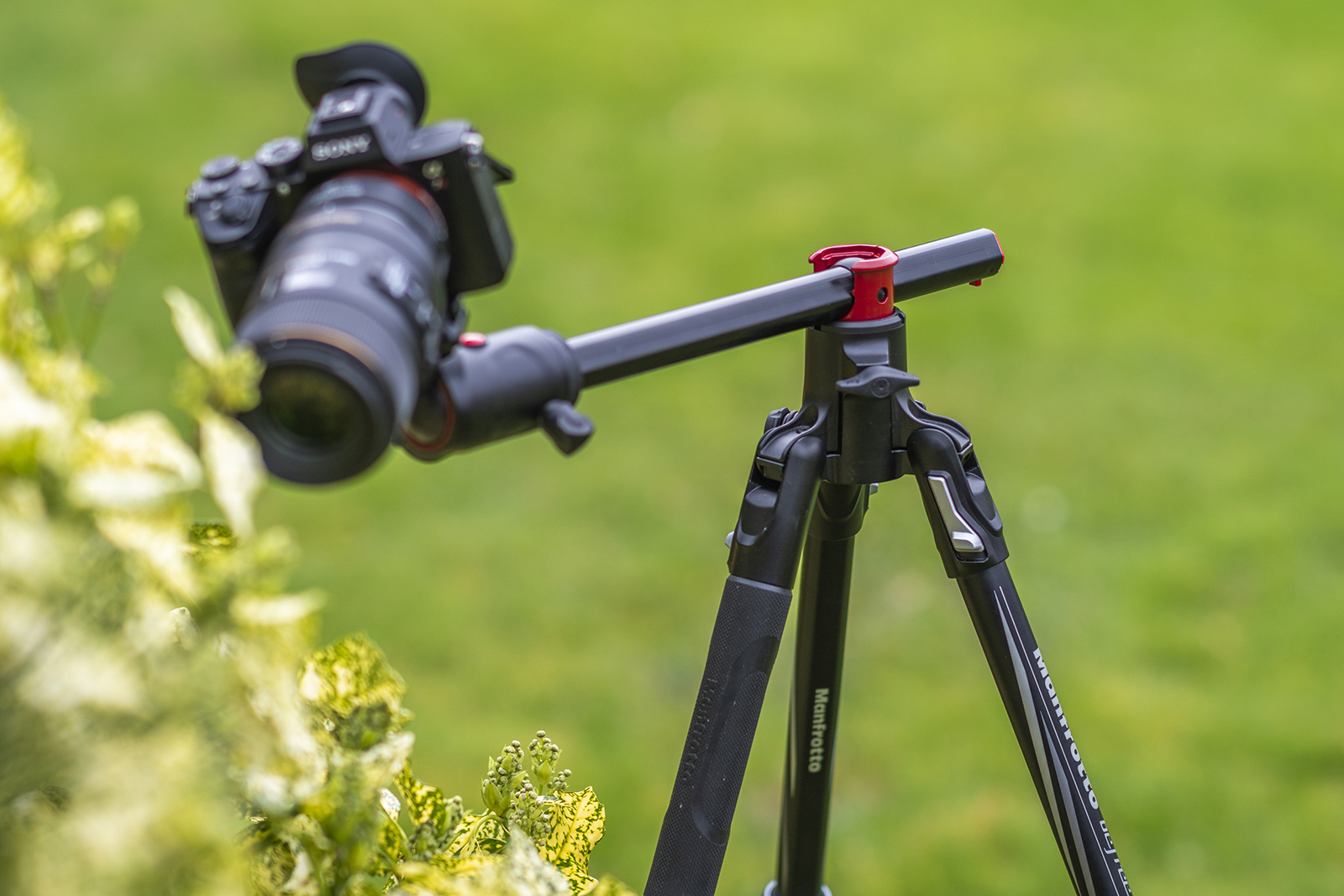 How to Choose the Right Tripod - Nature TTL