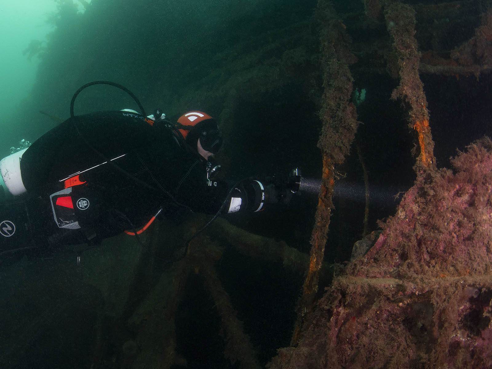 Underwater Photography Ethics and Code of Conduct - Nature TTL