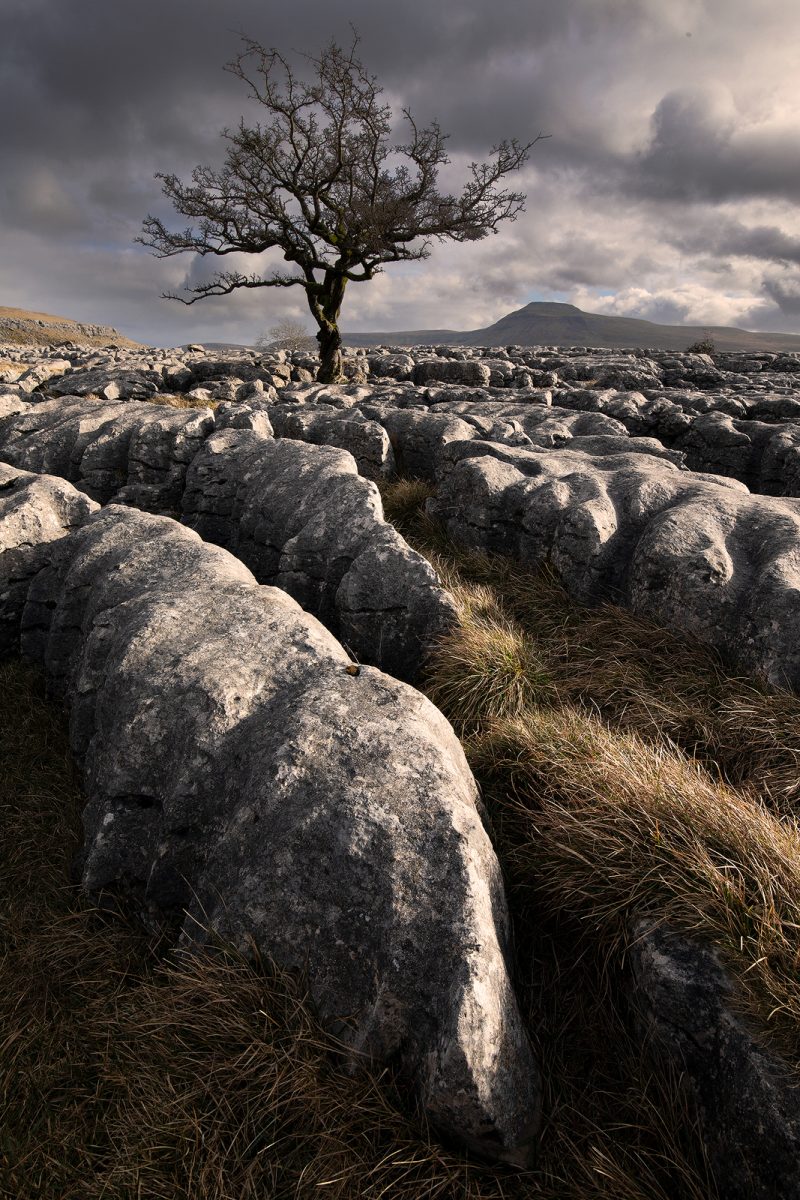 Top 10 Locations for Landscape Photography in Yorkshire - Nature TTL