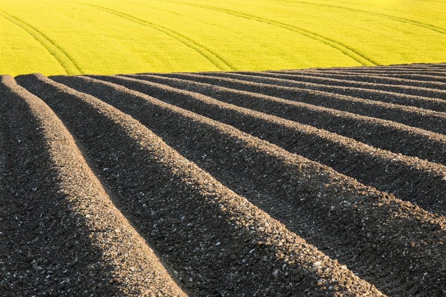 Top 10 Locations for Landscape Photography in Yorkshire - Nature TTL