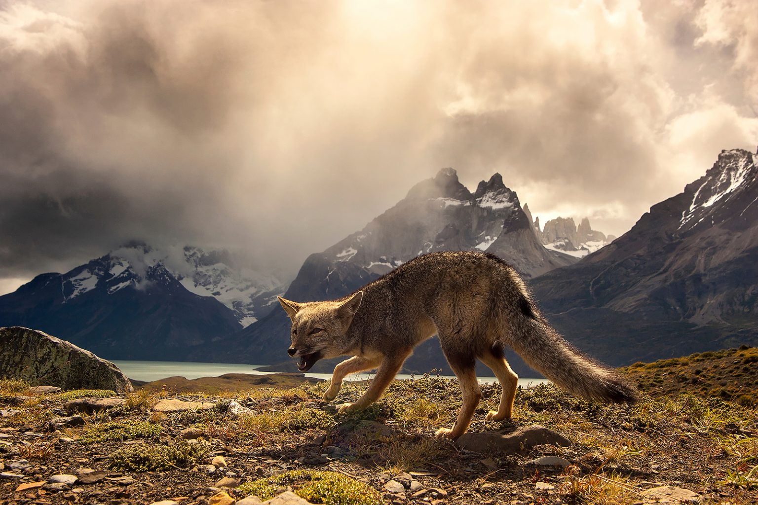 How to Plan a Photography Trip to Torres Del Paine, Patagonia - Nature TTL