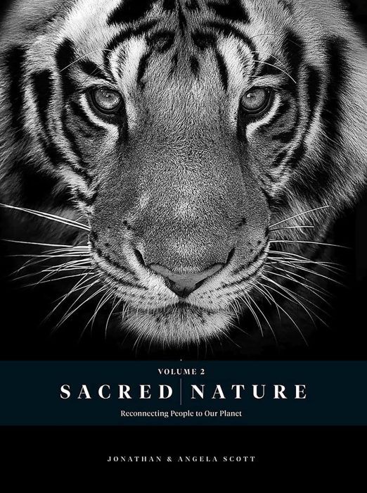 Top 10 Nature Photography Books for Photographers 2021 - Nature TTL