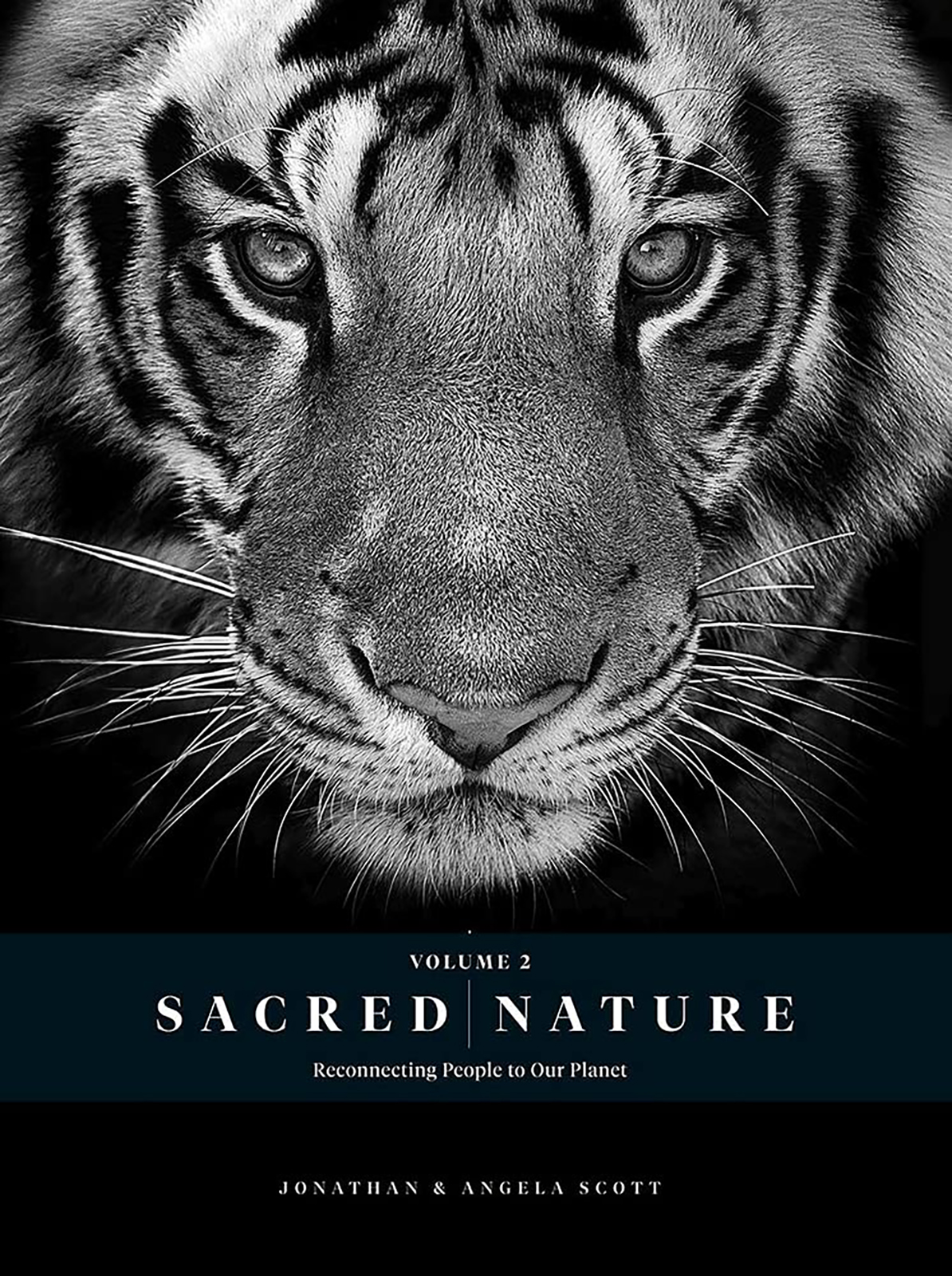 Top 10 Nature Photography Books for Photographers 2021 - Nature TTL