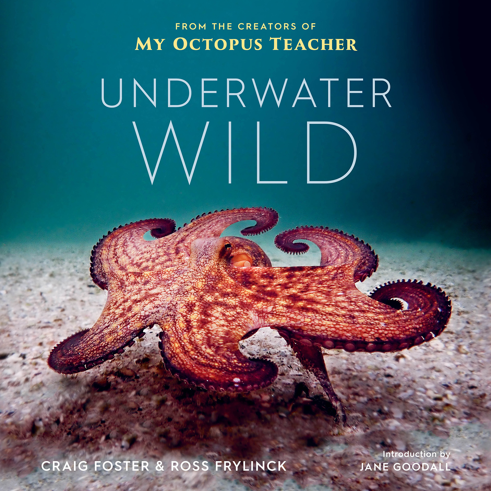 Top 10 Nature Photography Books for Photographers 2021 - Nature TTL