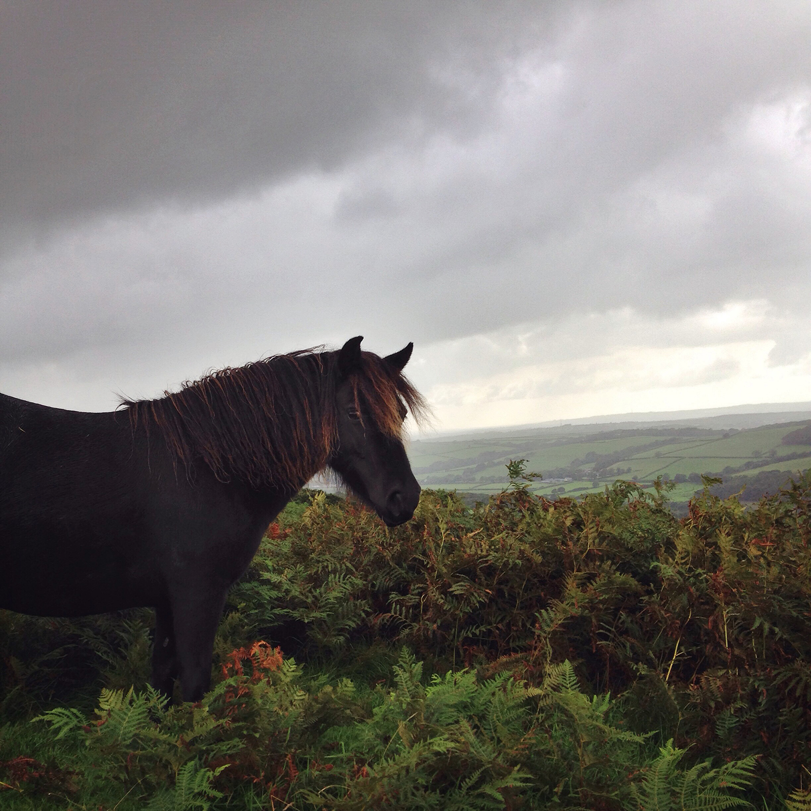 How to Use a Smartphone for Nature Photography - Nature TTL