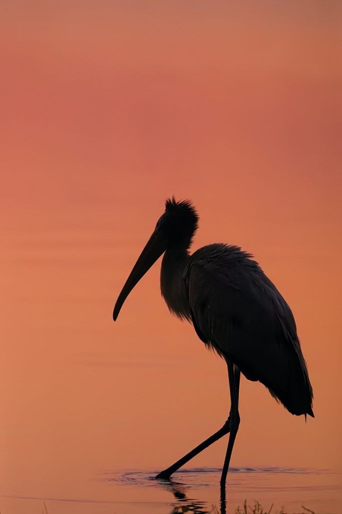 Weekly Photography Assignment: Landscapes - Nature TTL