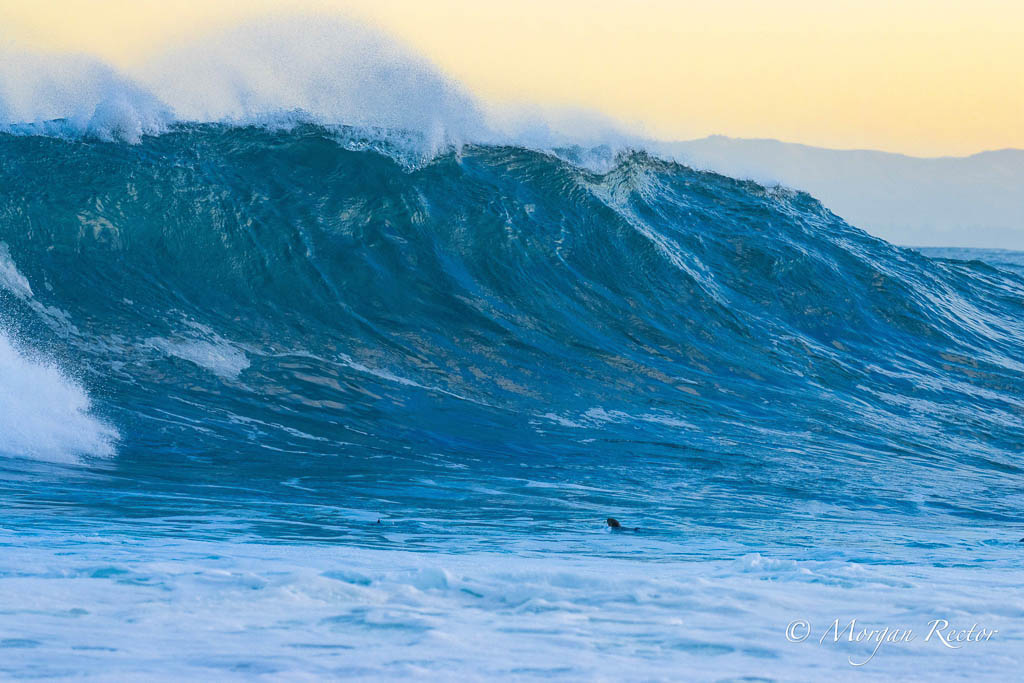 How to Photograph Sea Otters - Nature TTL